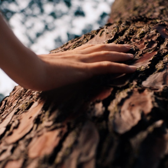 Sheridan | Recycling Program